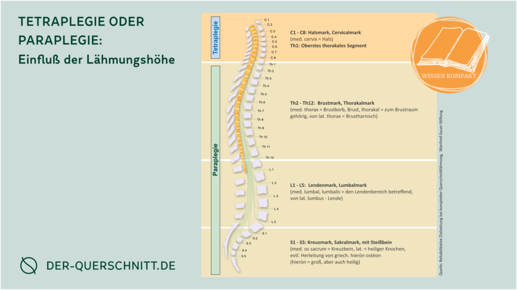 Rückenmarksverletzung Stufe C6
