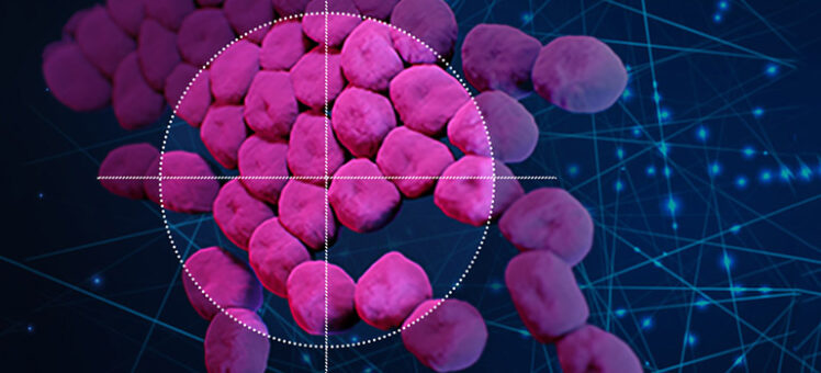 Künstliche Intelligenz (KI) findet Antibiotikum gegen multirestistente ...